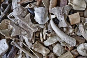 Rast kostí - v akom veku sa končí a dá sa podporiť? - Môj pohyb